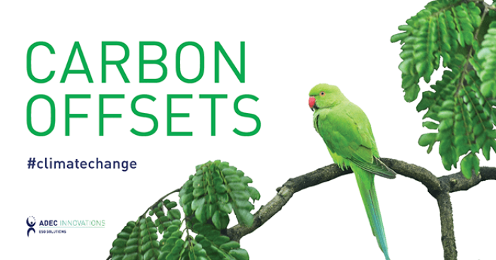 Carbon Offsets Explained | ADEC ESG