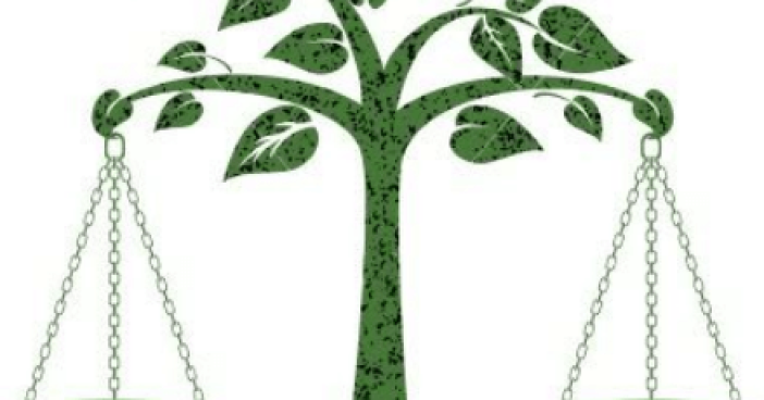 How to Balance Corporate Sustainability and Financial Stability | ADEC ESG