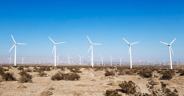 Environmental Impacts of Renewable Energy Sources | ADEC ESG